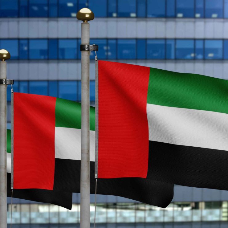 Customs Clearance Procedures for Free Trade Zones in the UAE - Cargoline